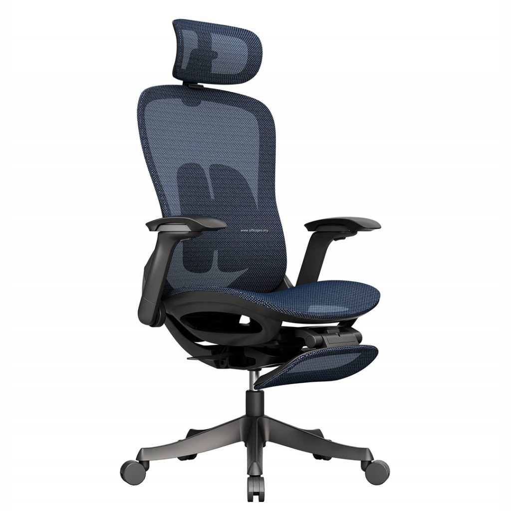 Space Ergonomic Office Chair For Better Posture | Cheras & KL