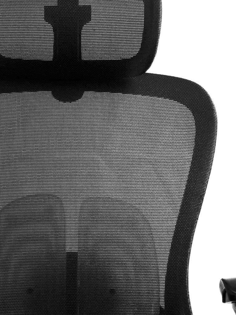 Ergohuman Ergonomic Chair | Posture Support | KL & Selangor
