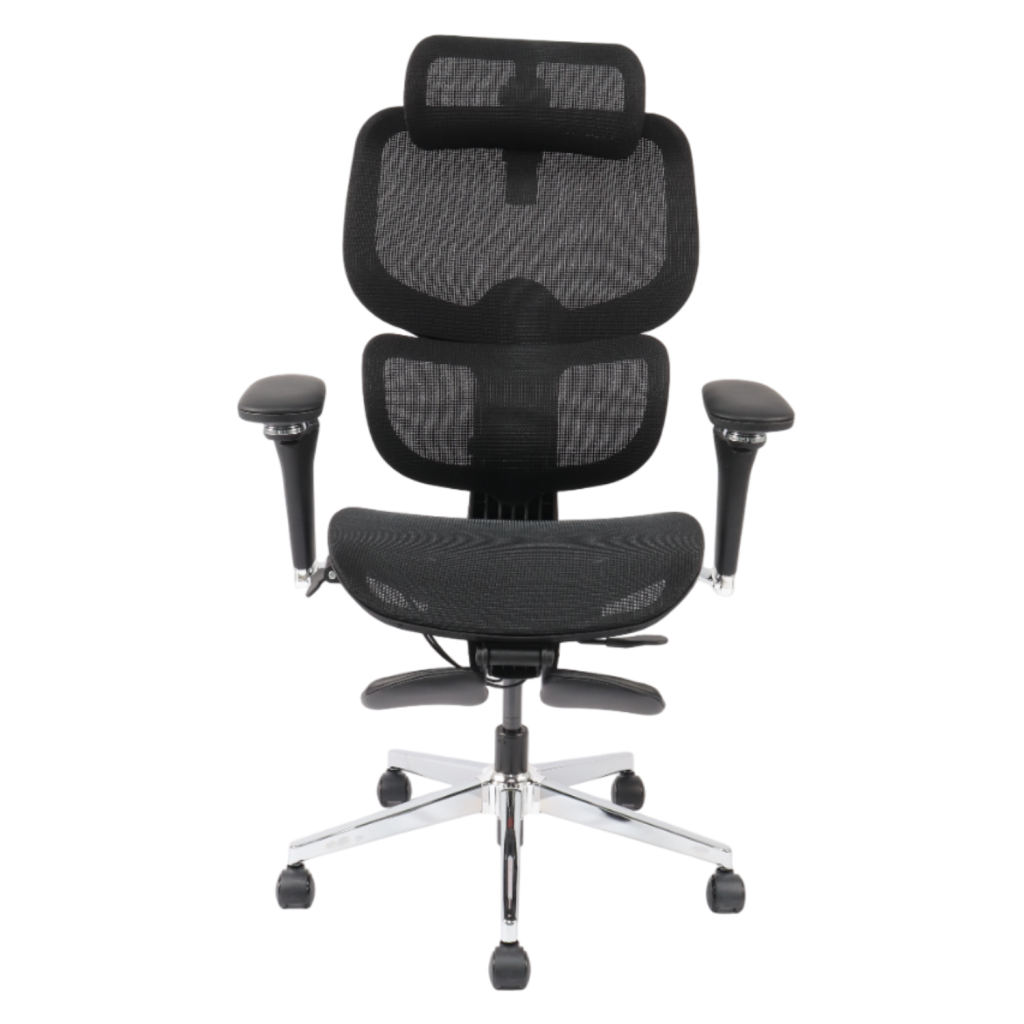 M55 HUMON I Ergo Chair | Ergonomic Chair For Proper Posture
